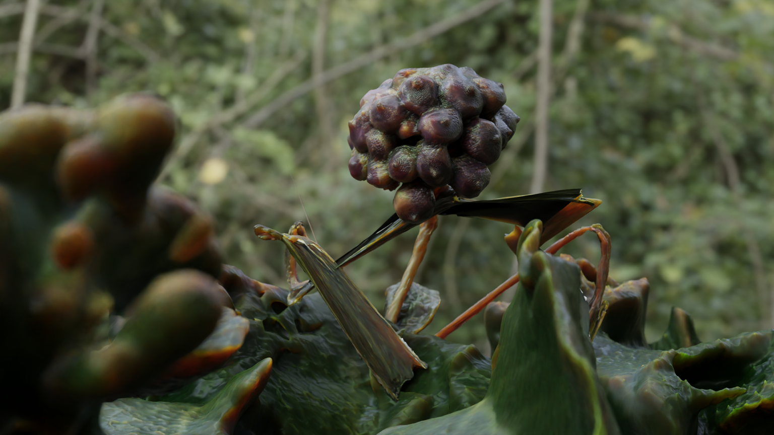 Paula Malinowska – Residency Unlimited